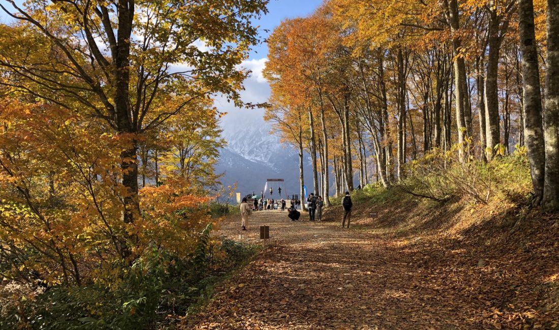 เที่ยว Hakuba สกีรีสอร์ทชื่อดังของนากาโน่ด้วยรถไฟ JR Resort View ...