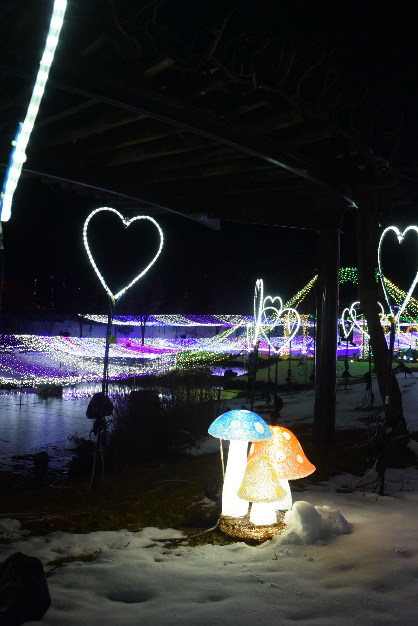 Winter-Wunderland Illumination im Azumino Park | Willkommen in Matsumoto
