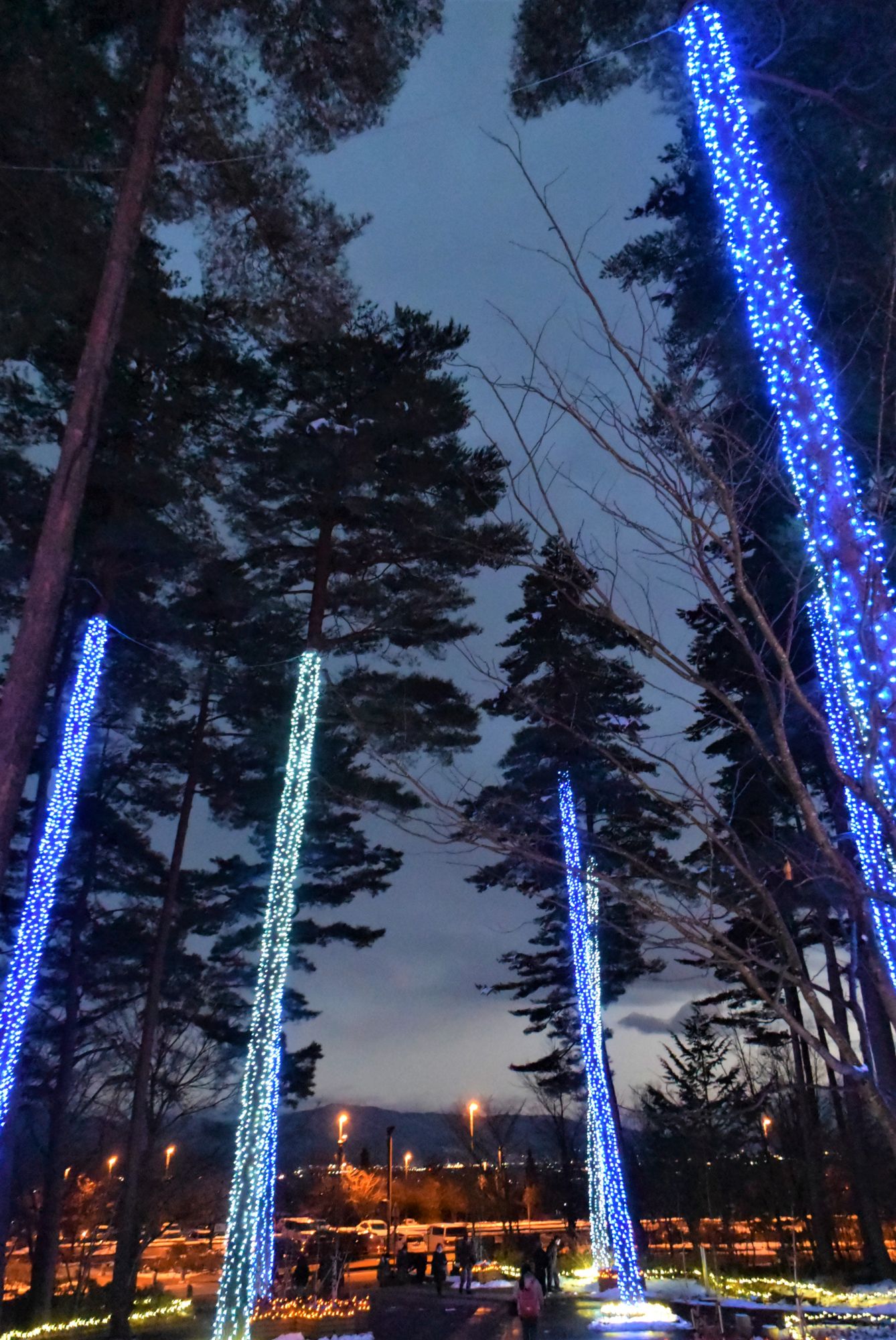 Winter-Wunderland Illumination im Azumino Park | Willkommen in Matsumoto