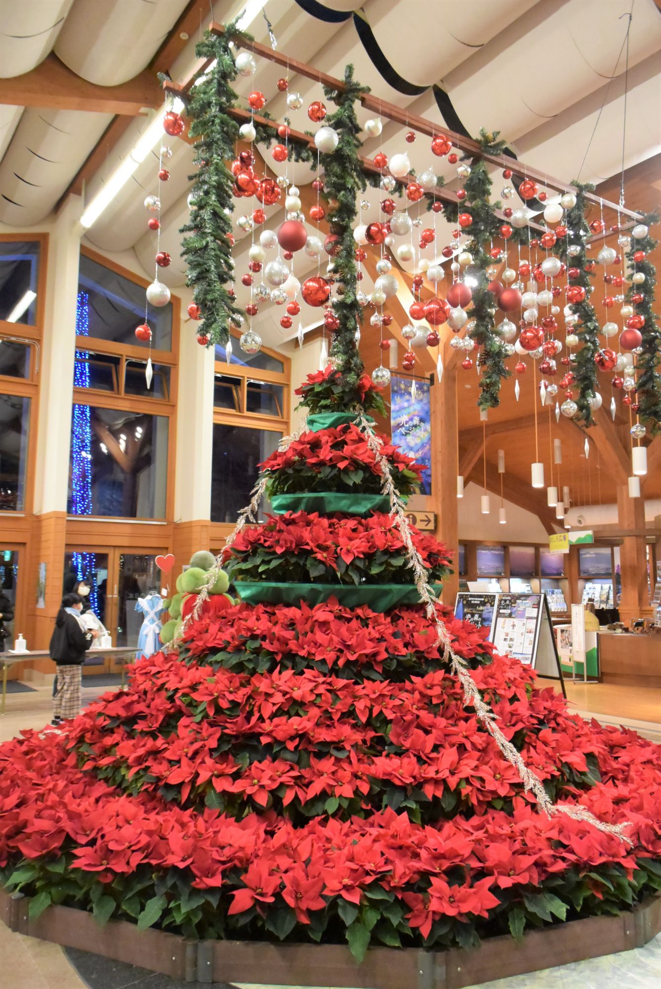 Winter-Wunderland Illumination im Azumino Park | Willkommen in Matsumoto