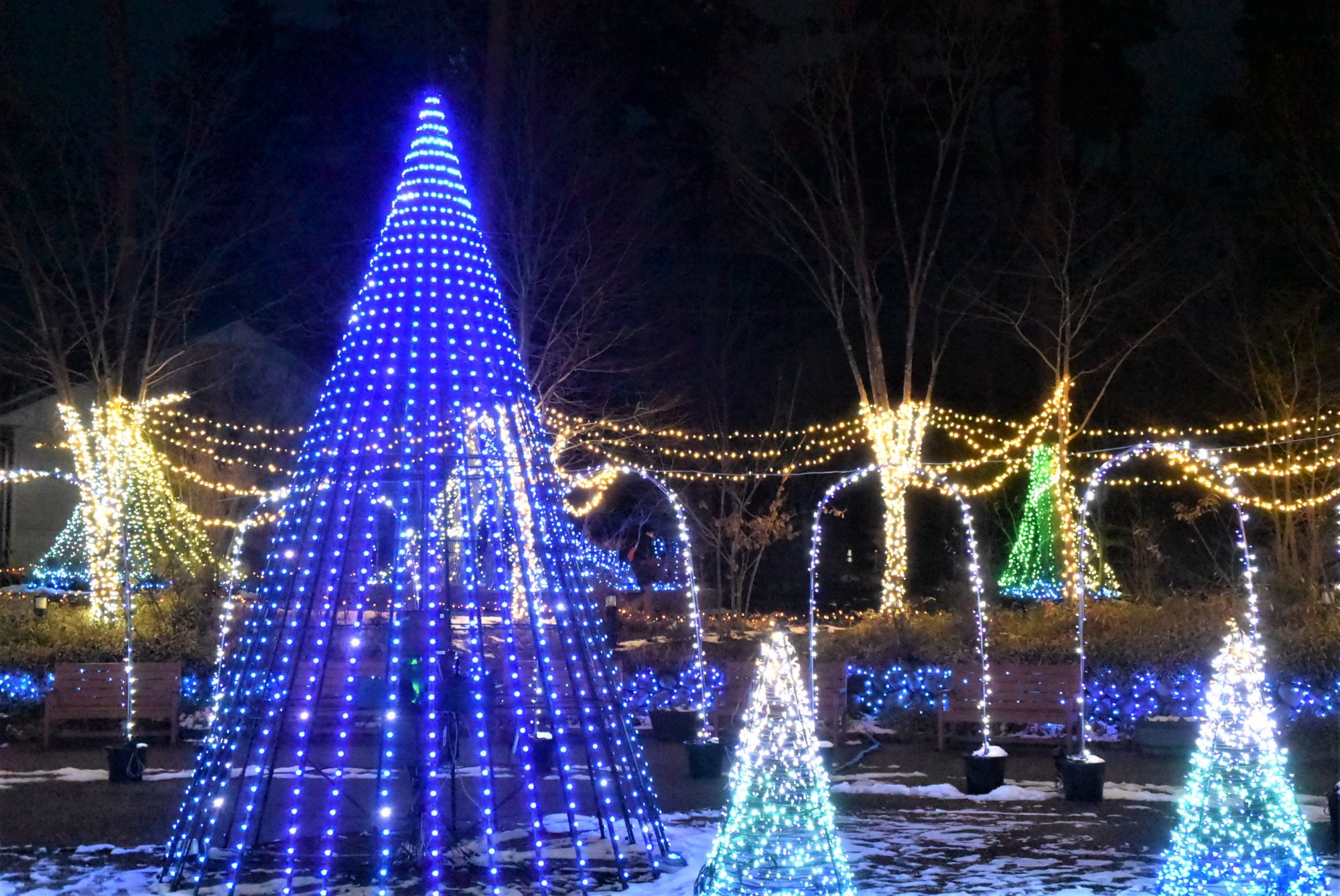 Winter-Wunderland Illumination im Azumino Park | Willkommen in Matsumoto